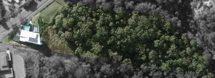 337 Chesterfield Drive, Bonogin QLD 4213 - property.com.au