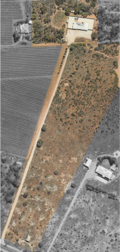 381 Old Sturt Highway, Glossop SA 5344 - property.com.au